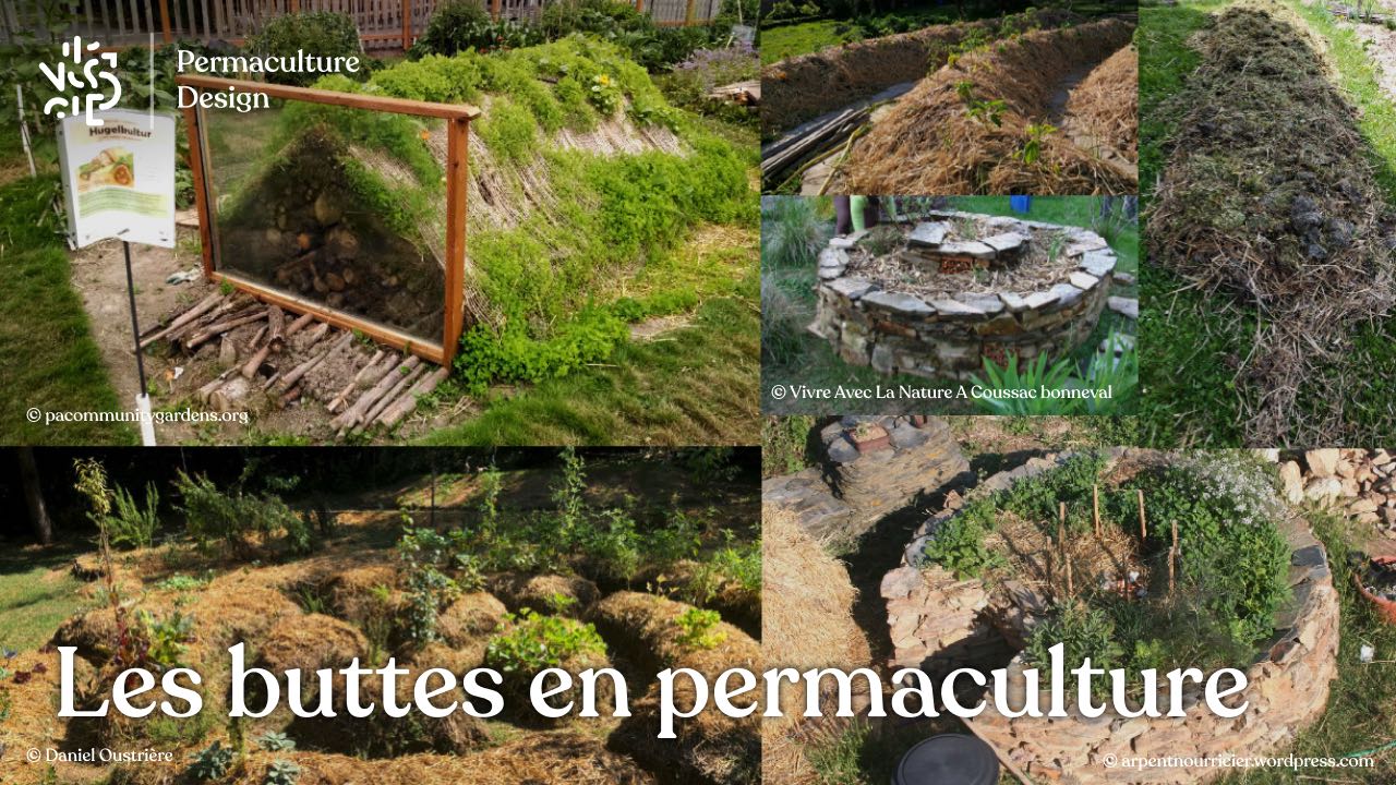 Plongez dans le guide des buttes de permaculture