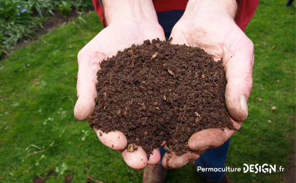 Plongez dans le guide complet du compost et du compostage
