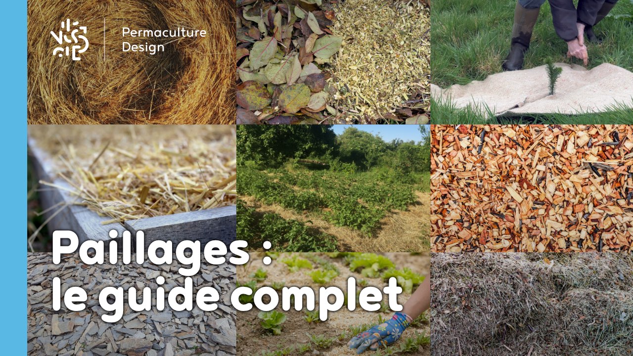 Découvrez comment utiliser le paillage au jardin en permaculture