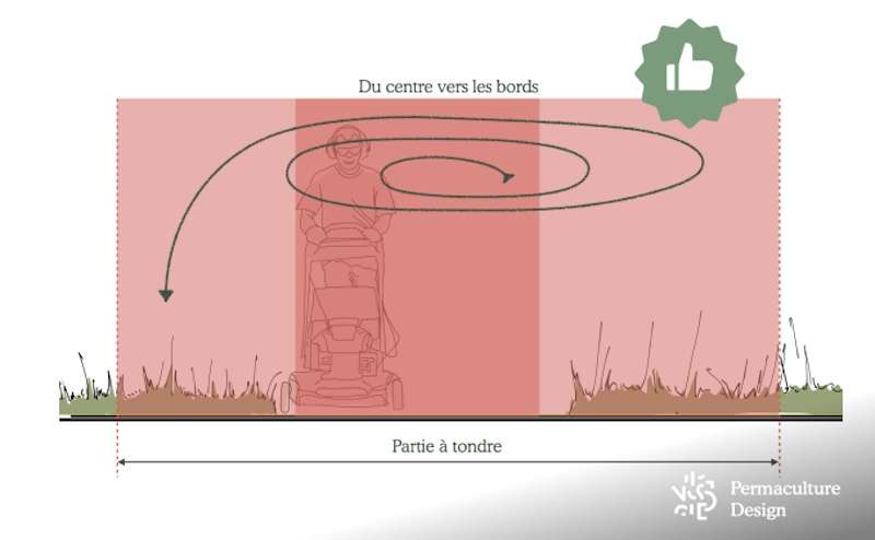 Marre de tondre ? Passez à la tonte différenciée